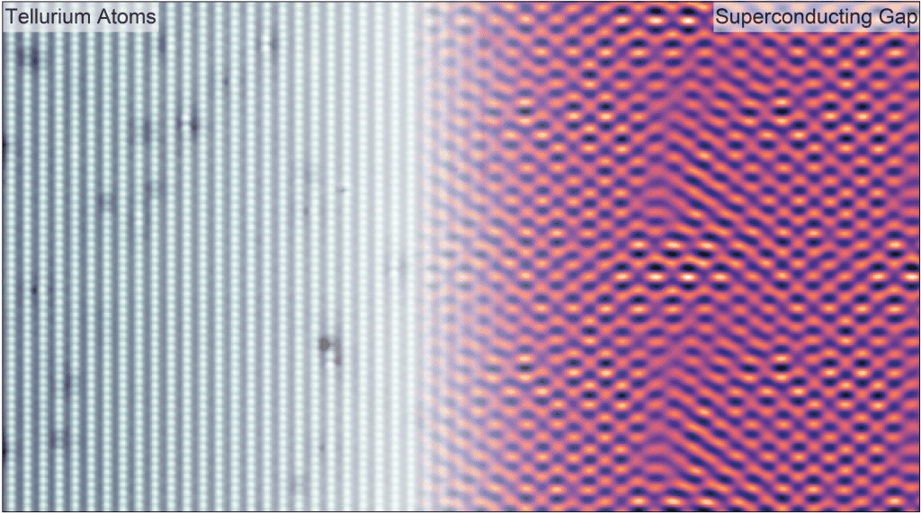 Wang Lab of Quantum Matter – Scanning tunneling microscopy in ...