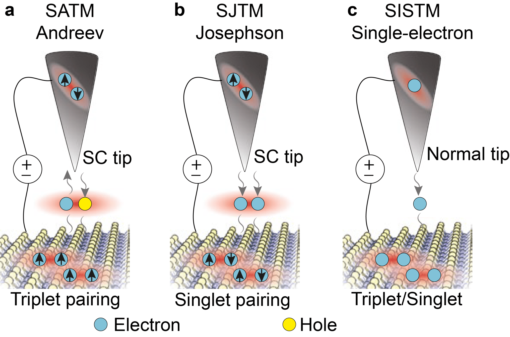 Wang Lab of Quantum Matter – Scanning tunneling microscopy in ...
